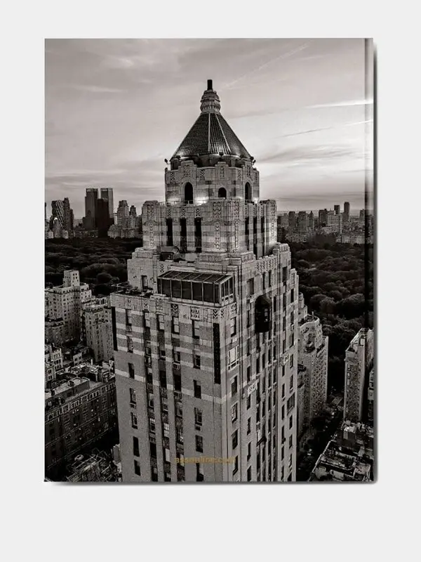 Assouline The Carlyle Book - Multicolour