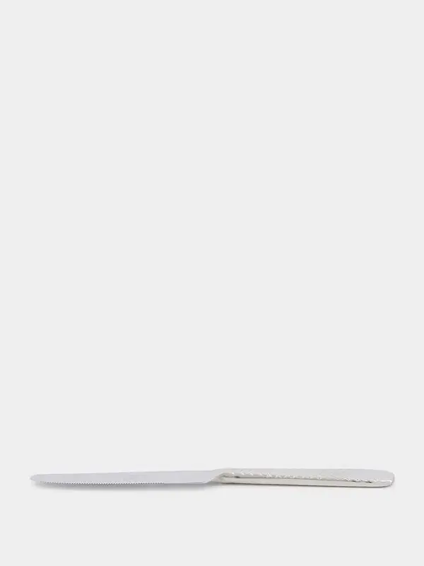 Sabre Paris Dinner Knife Nata