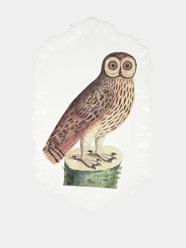 ASTIER DE VILLATTE Platter Owl - White