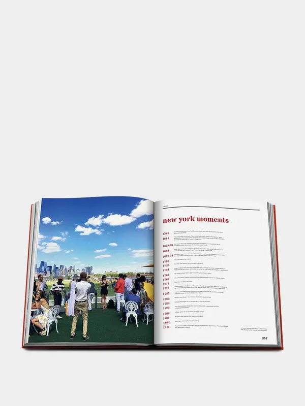Assouline New York New York - Grey