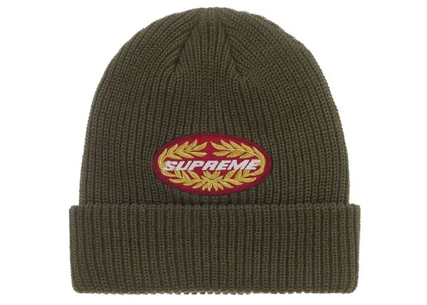 Supreme Terminal Beanie - Olive