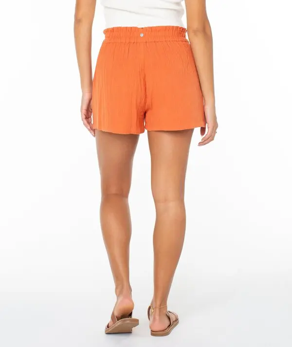 Roxy So Swell Shorts - Ginger Spice Solid