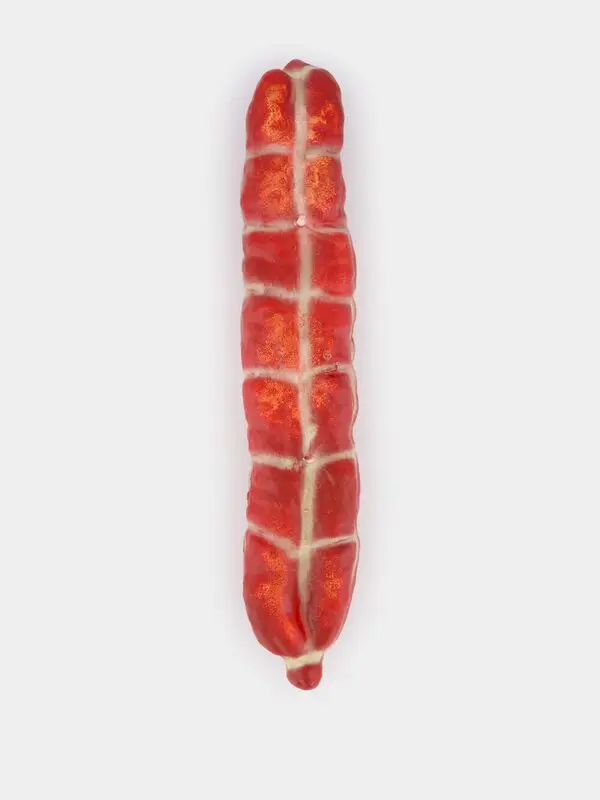 CERERIA INTRONA Salami Wax Candle - Red