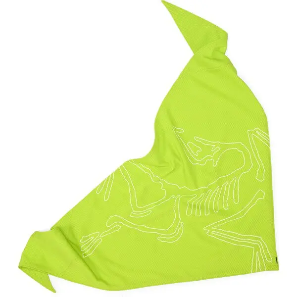 Arc'teryx Sinsolo Bandana - Mantis