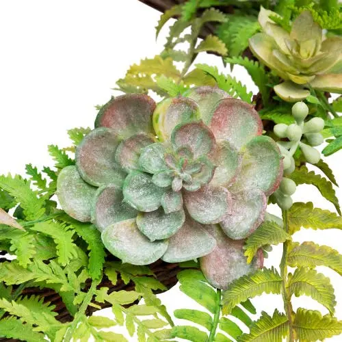 NORTHLIGHT Succulents And Foliage Artificial Spring Twig Wreath