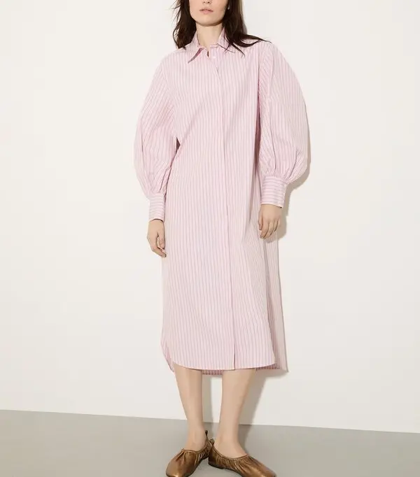 Max & Co. Cotton Pinstripe Shirt Dress