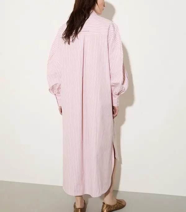 Max & Co. Cotton Pinstripe Shirt Dress