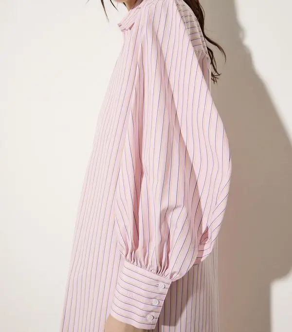 Max & Co. Cotton Pinstripe Shirt Dress