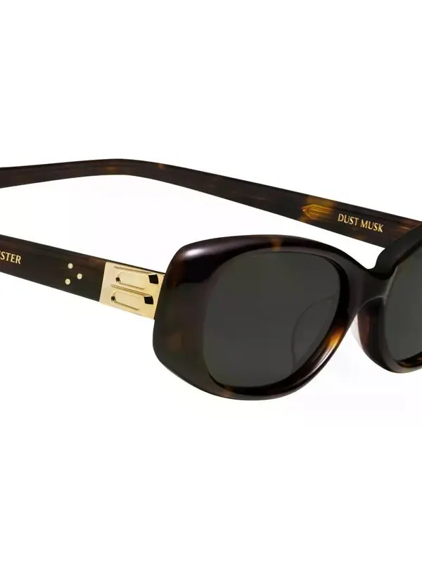 GENTLE MONSTER Dust Musk T1 Sunglasses - Brown