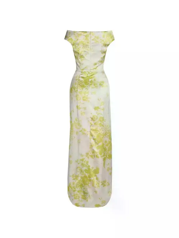 Erdem Floral-pattern Maxi Dress