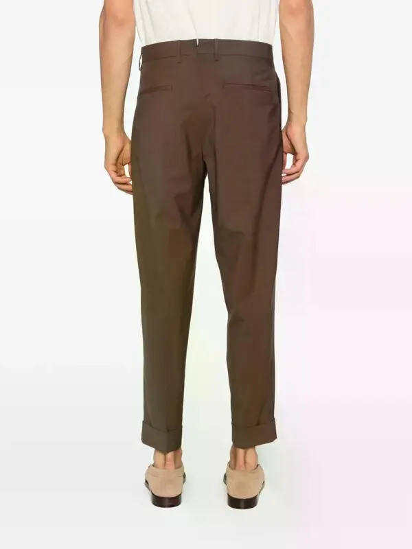 BERWICH Chiaia Pleated Trousers - Brown
