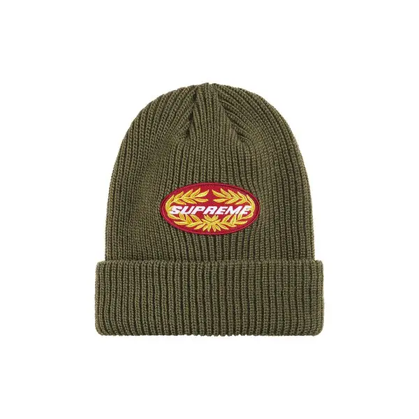 Supreme Terminal Beanie - Green