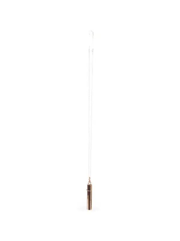 AMBUSH Pill Holder Pendant Necklace