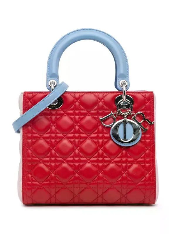 Dior 2014 Medium Lady Satchel - Multicolour