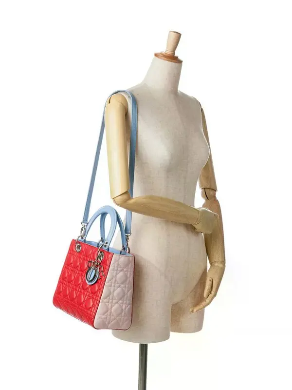 Dior 2014 Medium Lady Satchel - Multicolour