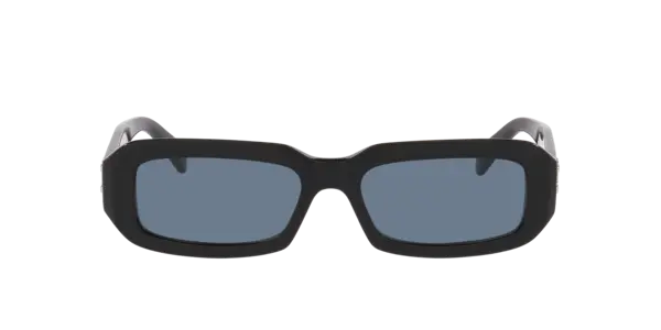Celine Triomphe Sunglasses - Blue