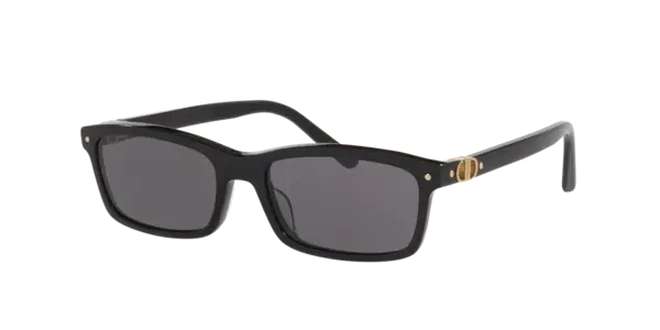 Dior Petit Cd Sunglasses - Grey