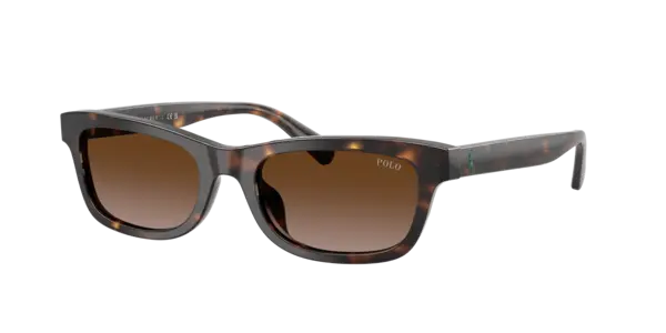 Polo Ralph Lauren Sunglasses - Gradient Brown
