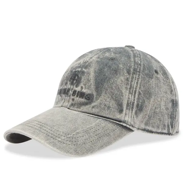 ANINE BING Jeremy Baseball Cap - Oyster Grey