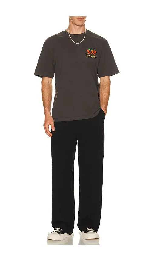 STAN RAY Pepper Tee In . Also - Black