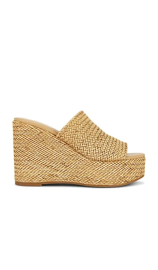 Steve Madden Cassi Platform Wedge Sandals