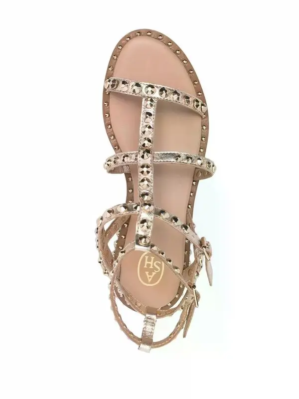 Ash Studded Double-buckle Sandals
