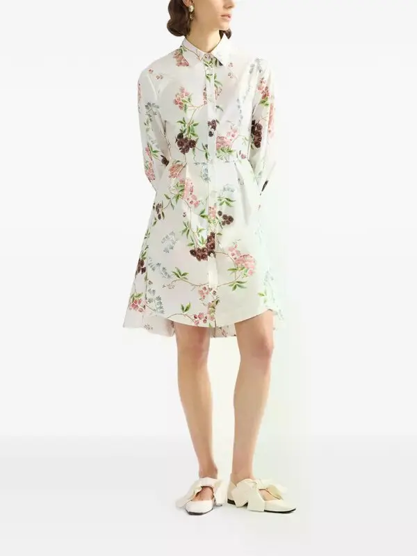 Erdem Floral-print Mini Dress