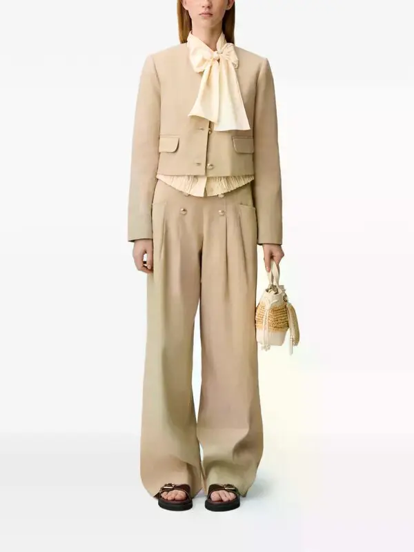 Claudie Pierlot Cropped Buttoned Jacket