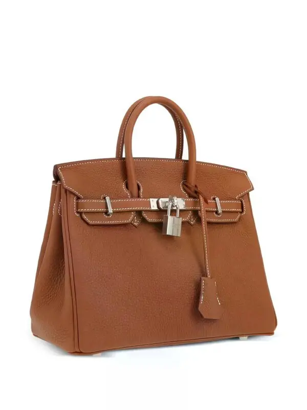 Hermès 2025 Birkin 25 Handbag