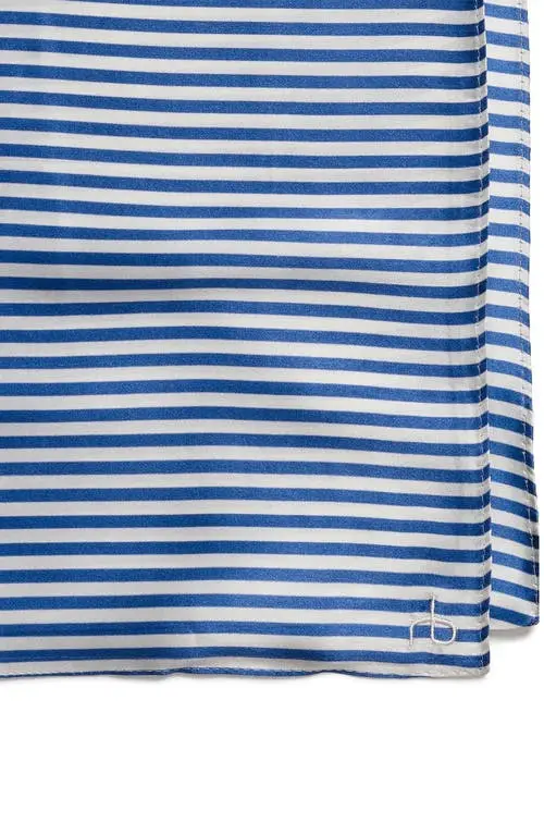 Rag & Bone Gail Stripe Silk Scarf - Blue/white