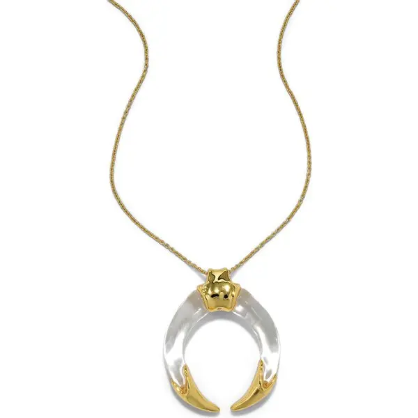 Alexis Bittar Gilded Tusk Lucite Pendant Necklace - Crystals