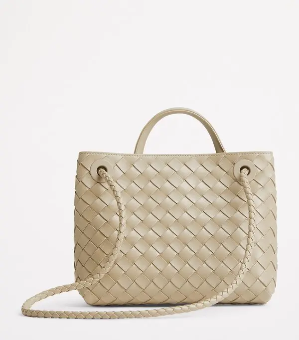 Bottega Veneta Small Andiamo Top-handle Bag - Neutral