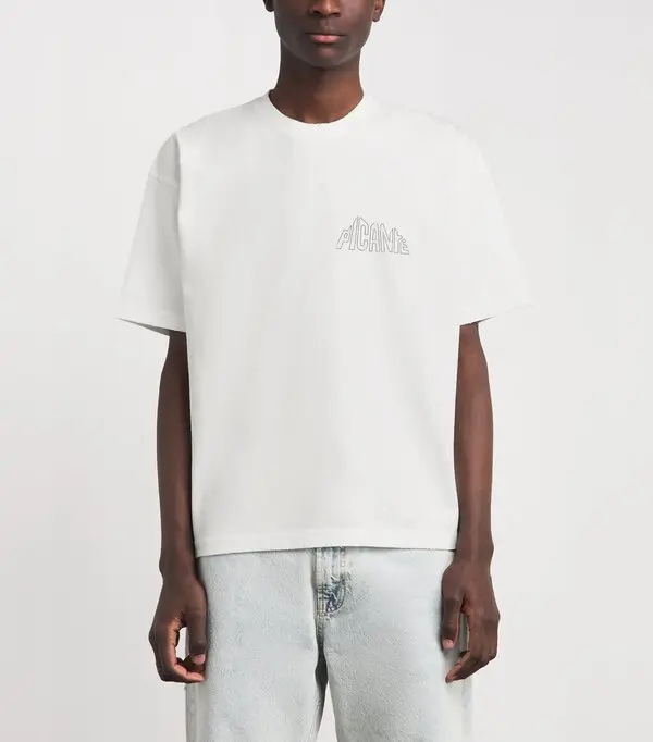 PICANTE Organic Cotton Peaks Icon T-shirt
