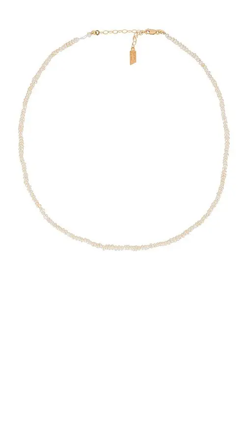 LOREN STEWART Baby Pearl Choker - 14k Yellow Gold
