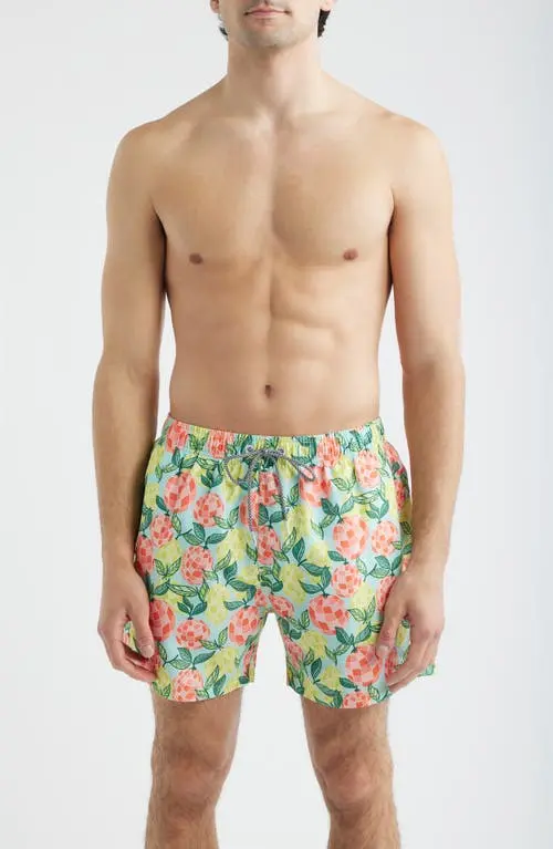 BOARDIES Citrus Print Swim Trunks - Multi