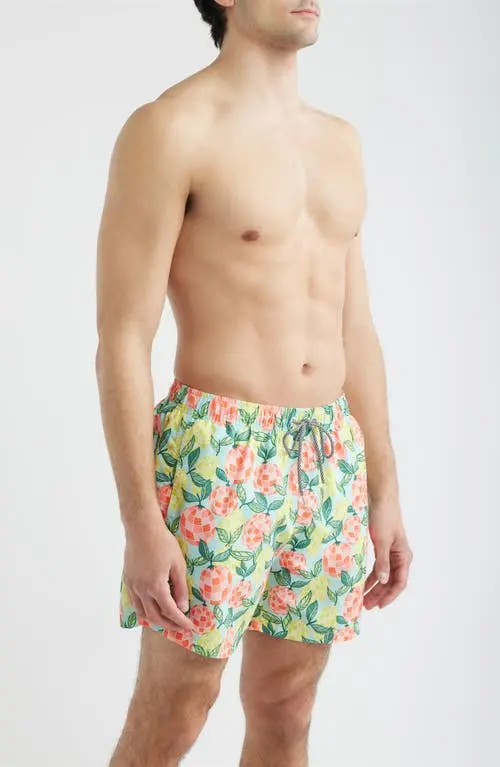 BOARDIES Citrus Print Swim Trunks - Multi
