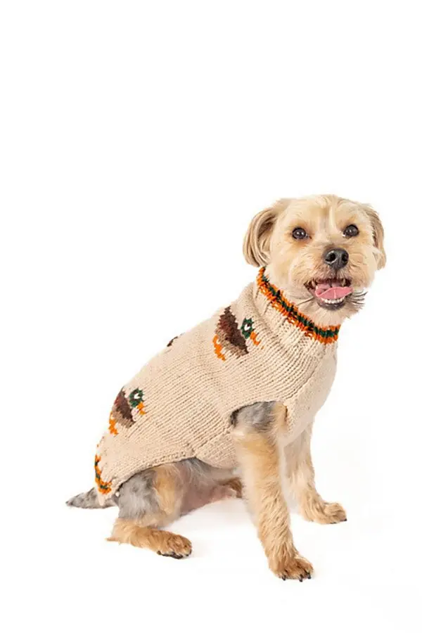 CHILLY DOG Lucky Duck Dog Sweater