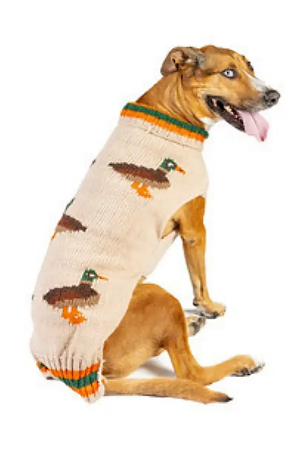 CHILLY DOG Lucky Duck Dog Sweater
