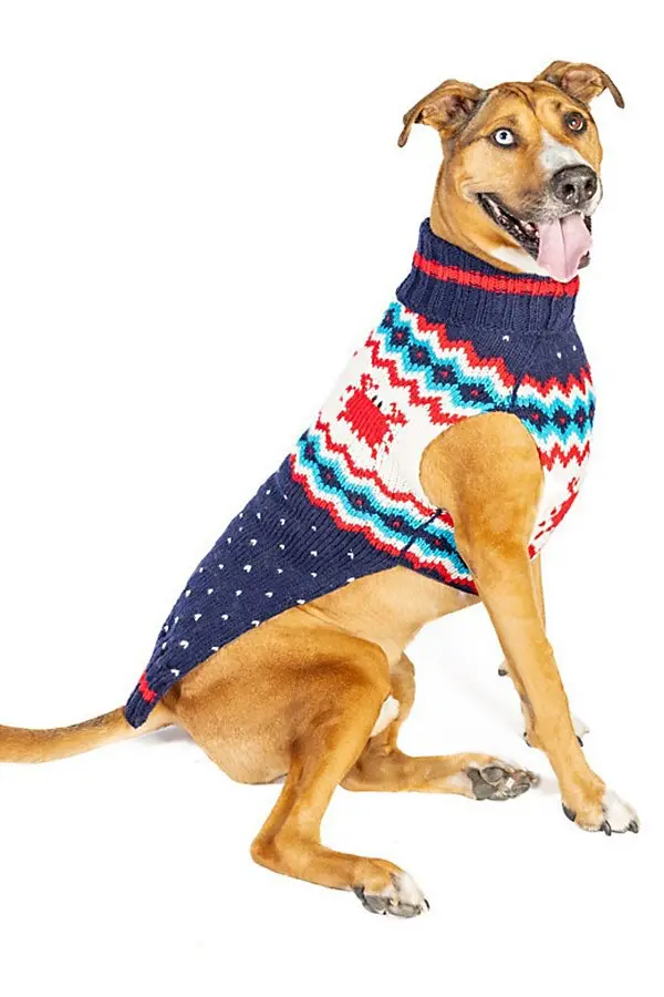 CHILLY DOG Crabby Dog Sweater