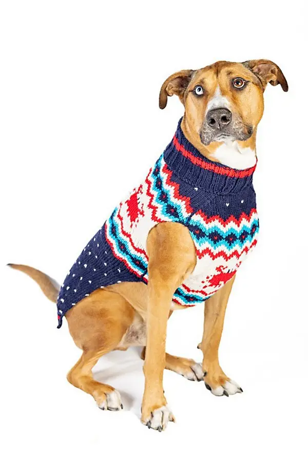 CHILLY DOG Crabby Dog Sweater