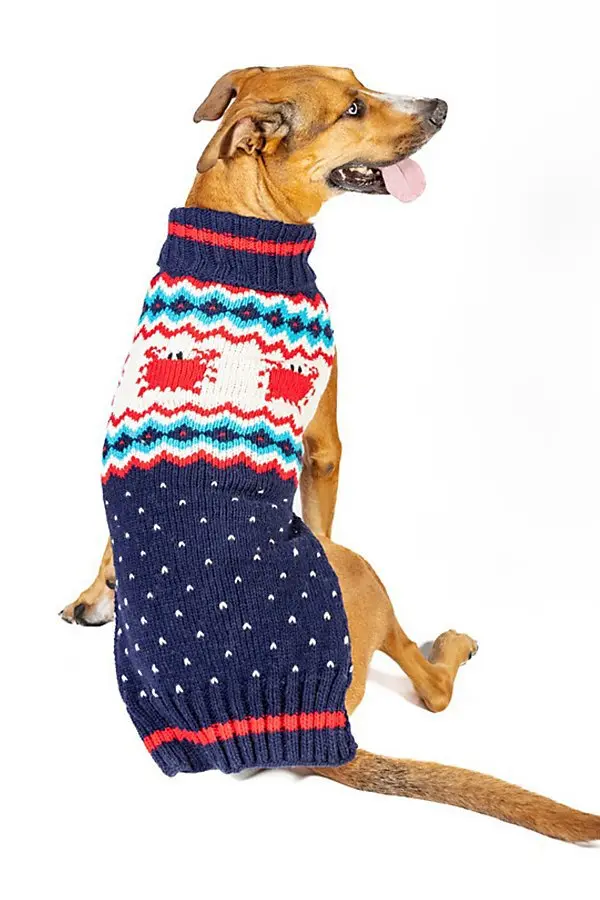 CHILLY DOG Crabby Dog Sweater