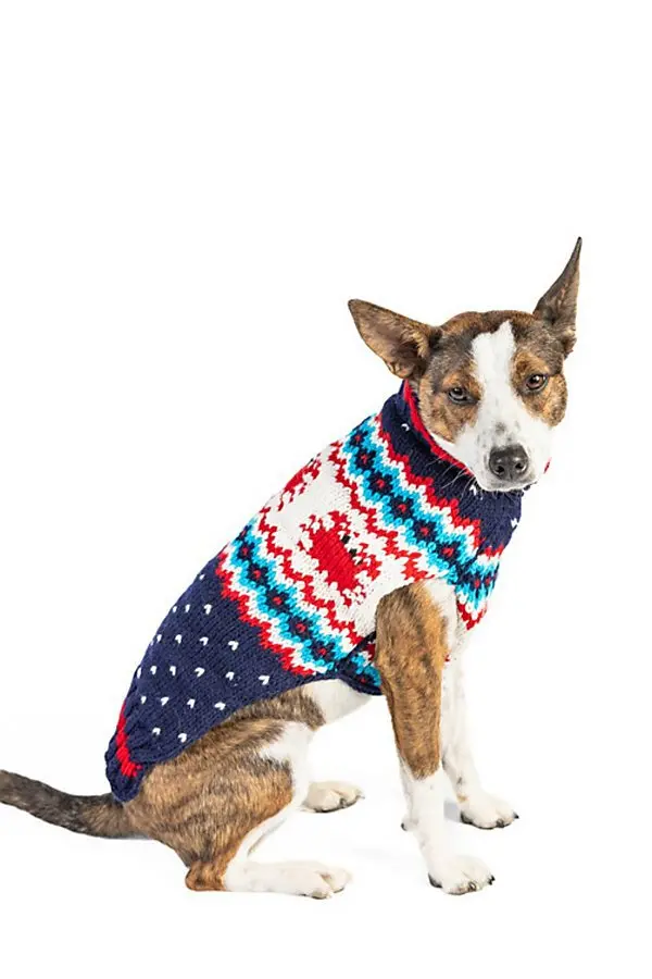 CHILLY DOG Crabby Dog Sweater