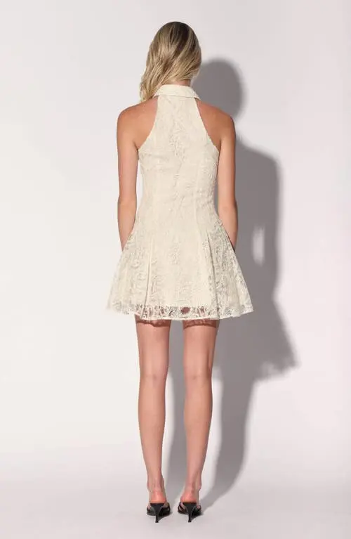 Walter Baker Nova Fit & Flare Mini Dress