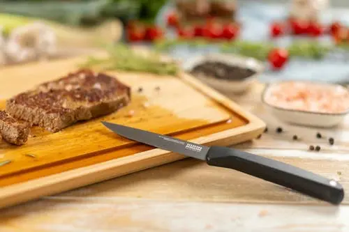 KUHN RIKON Iced Steak Knife 4.13-inch, Set Of 4