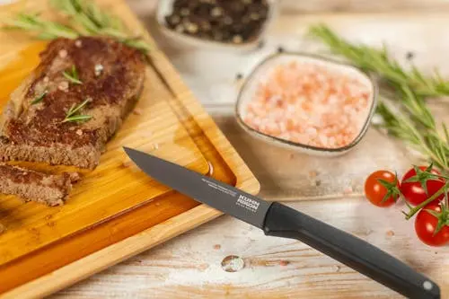 KUHN RIKON Iced Steak Knife 4.13-inch, Set Of 4