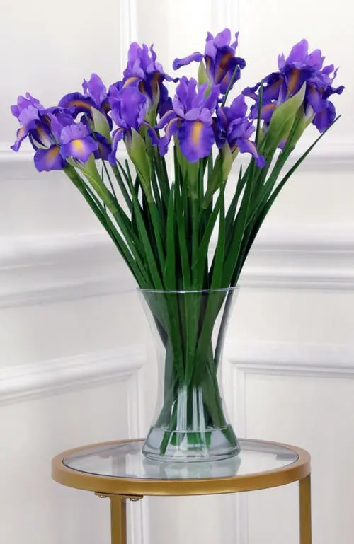 MARK ROBERTS Vase Of Iris