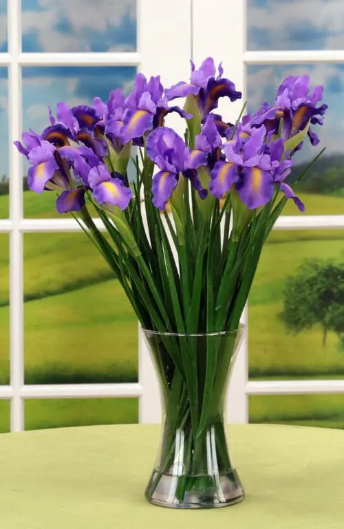 MARK ROBERTS Vase Of Iris