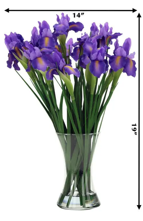 MARK ROBERTS Vase Of Iris