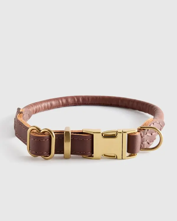 Quince Rolled Italian Leather Dog Collar - Brown