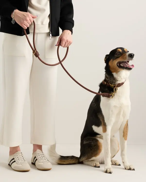 Quince Rolled Italian Leather Dog Leash